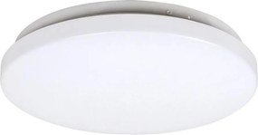 Rabalux 3338 - LED Stropní svítidlo ROB LED/20W/230V
