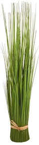 FLORISTA Svazek trávy 70 cm