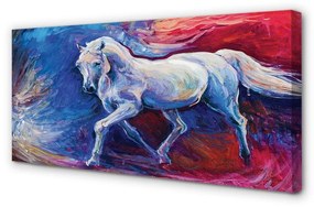 Obrazy na plátně Kůň 100x50 cm