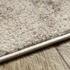 Dywany Łuszczów, Kusový koberec Fusion 9776 cream/beige, 80x150, béžová, kancelář