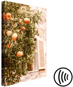 Obraz Městské ovoce (1-dílný) - mandarinkový strom na pozadí budovy