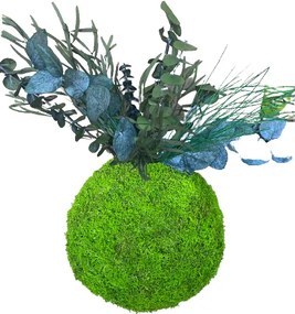 Závěsné kokedamy ze stabilizovaného mechu a rostlin Průměr koule: 15 cm, Barva koule: světle zelená