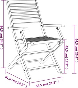 vidaXL Skládací zahradní židle 2 ks 54,5x61,5x86,5 cm masivní akácie [365737]