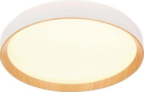 XXXLutz STROPNÍ LED SVÍTIDLO, 48/8 cm Novel - Stropní svítidla - 006286002902