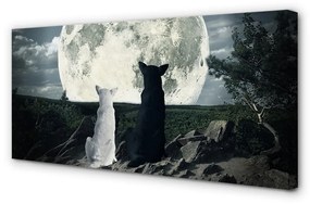Obrazy na plátně Wolves měsíc lesní 100x50 cm