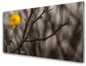 Obraz na skle Větev Květ 120x60 cm