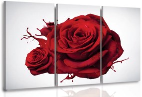 Malvis ® Vícedílný obraz - Růže Velikost: 150x100 cm
