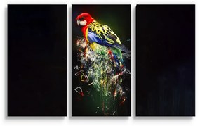 Sablio Obraz - 3-dílný Barevný papoušek - 120x80 cm
