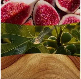 WoodWick Verdant Fig svíčka loď