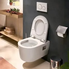 Hansgrohe - WC sedátko, bílá