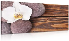 Obraz wellnes kameny a orchidej na dřevěném pozadí - 100x50 cm