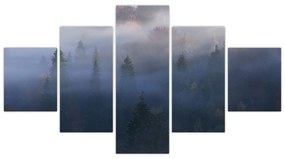 Obraz - Les v mlze, Karpaty, Ukrajina (125x70 cm)