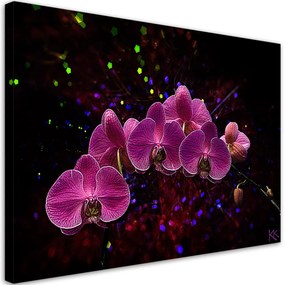 Obraz na plátně, Orchidej na temném pozadí - 120x80 cm