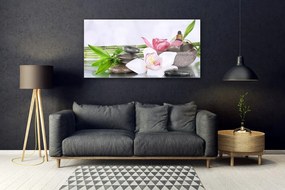 Plexisklo-obraz Orchidej Kameny Bambus 120x60 cm