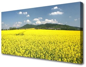 Obraz na plátně Pole Louka Příroda Řepka Olejka 100x50 cm
