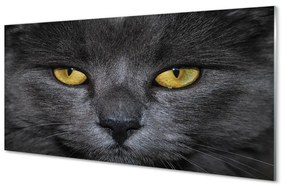akrylový obraz Černá kočka 120x60 cm