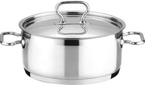 TESCOMA Kastrol HOME PROFI s poklicí ø 22 cm, 4,0 l