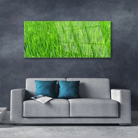 Plexisklo-obraz Zelená Tráva Příroda Trávník 125x50 cm