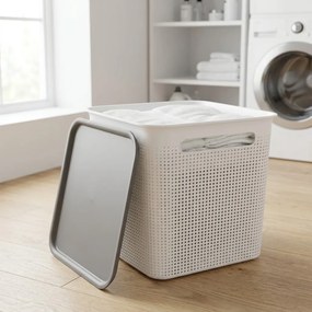 Rotho Úložný box s víkem a s madly BRISEN 18l, 29x29x29cm, bílý