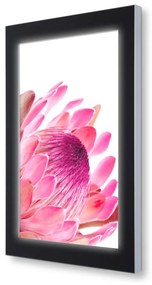 Venkovní informační vitrína s LED osvětlením 70 x 100 cm, černá
