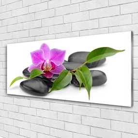 akrylový obraz Květ Kameny Umění 125x50 cm