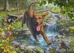 SCHMIDT Puzzle Psí láska: Jarní procházka s labradorem / 1000 dílků /