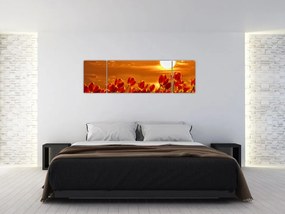 Obraz rozkvetlého lánu s tulipány (170x50 cm)