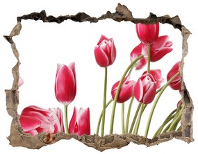 Wallmuralia Samolepící nálepka Červené tulipány 95x64 cm