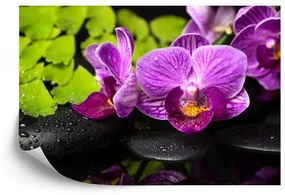 Fototapeta Orchidové Lázně Hladký vinyl 300x210