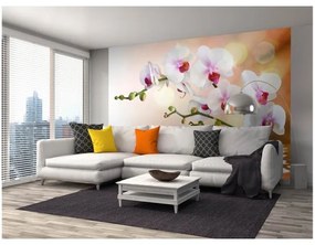 DIMEX | Samolepicí vliesová fototapeta na zeď Bílá orchidej MA-5-0147 | 375 x 250 cm | zelená, bílá, oranžová, růžová