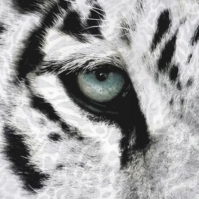 DĚTSKÉ BAVLNĚNÉ LOŽNÍ POVLEČENÍ TIGER 140X200 CM, 1 KS 70X90 CM VZOROVANÉ
