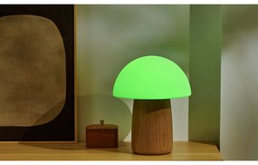 Stmívatelná stolní lampa v přírodní barvě se skleněným stínidlem (výška 32 cm) Alice – Gingko