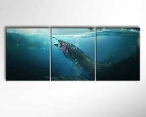 Malvis ® Obraz Pstruh pod vodou ROZMĚR (šířka x výška): třídílný obdélník 150x60 cm