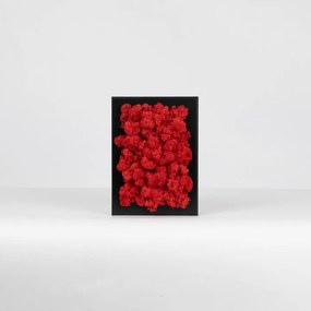 Mechový miniobraz | 15x10 cm | červený - černý rám