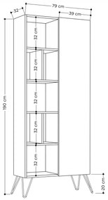 Knihovna Jedda světlý dub/antracit