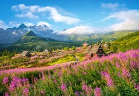 Castorland puzzle 1000 dílků, Dolina Gąsienicowa, Tatry, Polsko