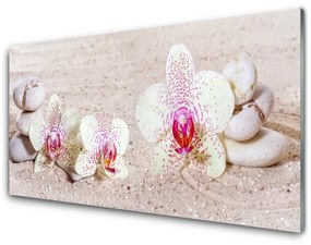 Obraz na skle Orchidej Kameny Zen Písek 140x70 cm