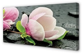 Obrazy na plátně Magnolia kameny 120x60 cm