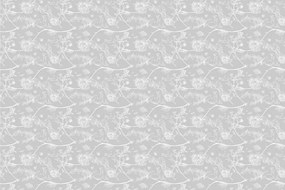 Samolepící tapeta nádherné ptáčci v šedém pozadí - 75x1000 cm