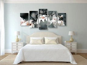 5-dílný obraz probouzející se magnolie Varianta: 100x50