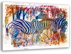Gario Obraz na plátně Dvě barevné zebry - Andrea Haase Rozměry: 60 x 40 cm