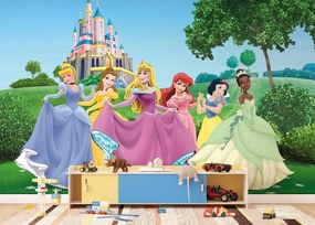 Vliesová fototapeta na Louce Před Zámkem, Disney Princezny | 360 x 270 cm | DFTDNXXL5003