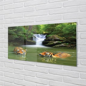 akrylový obraz vodopád tygři 140x70 cm