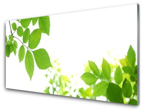 Obraz na skle Plátky Rostlina Příroda 125x50 cm
