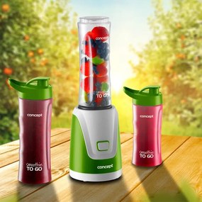 Smoothie maker Concept SM 3365