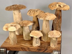 Dekorativní houba z teakového kořenového dřeva – 20 až 50 cm, Jáva 20 cm
