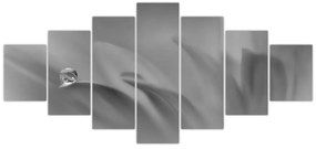 Obraz - Kapka na květu, černobílá (210x100 cm)