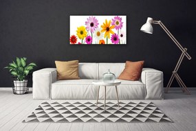 Obraz na plátně Barevné Květiny Příroda 120x60 cm