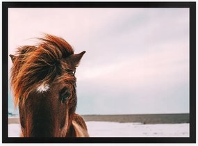 Darovanému koni se do zubů nedívá 50x70