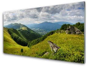 akrylový obraz Hora Louka Krajina 100x50 cm